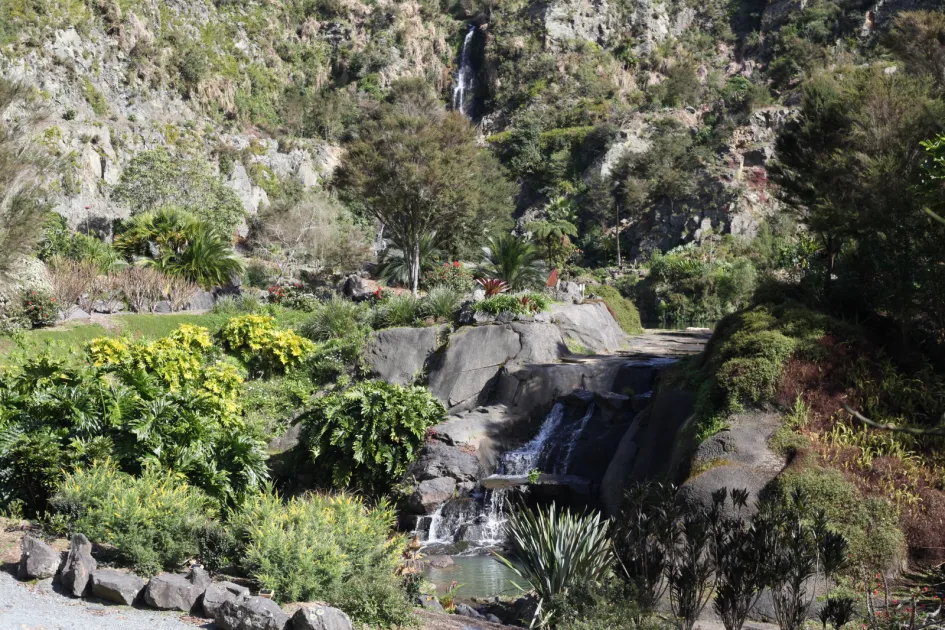Whangarei Quarry Gardens