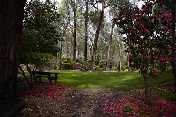 Araluen Botanic Park, Perth